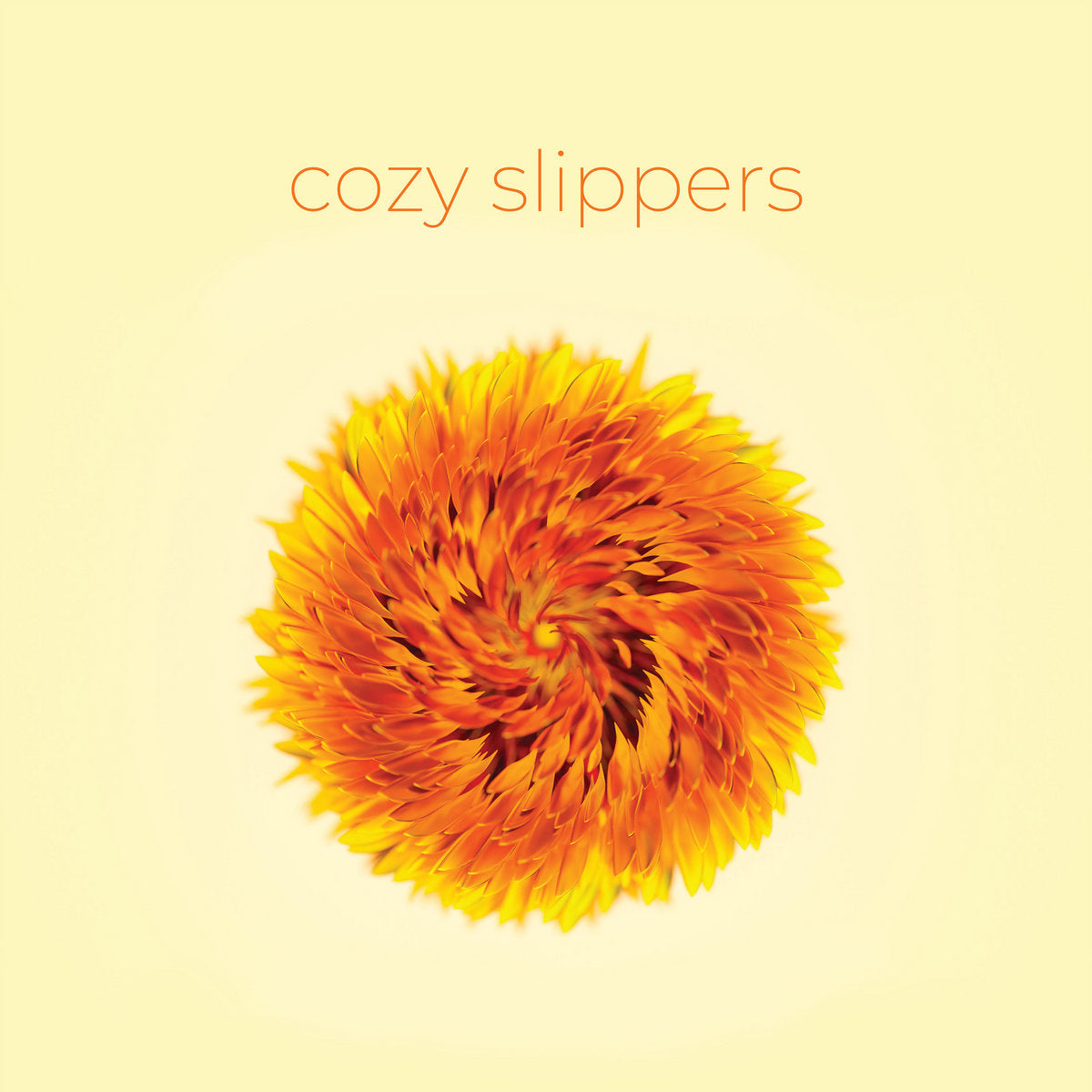 Cozy Slippers - Cozy Slippers lp – Jigsaw Records