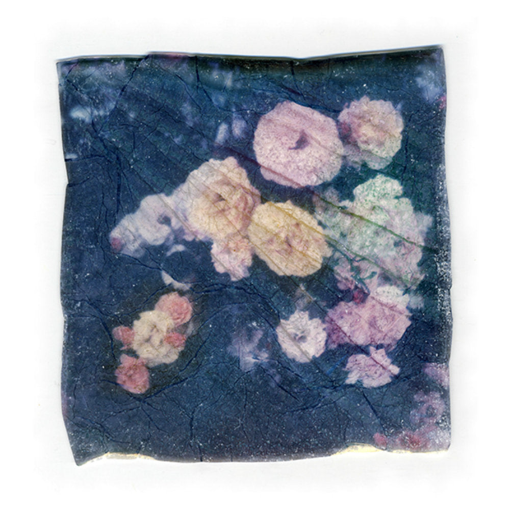 Fever Dream - Fragile #2 flexi – Jigsaw Records