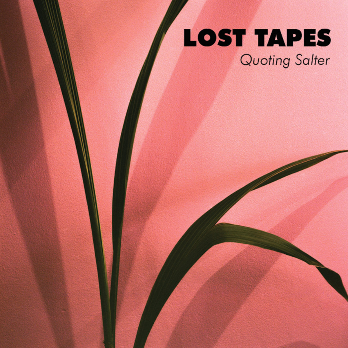 Lost Tapes - Quoting Salter 7"/cdep – Jigsaw Records